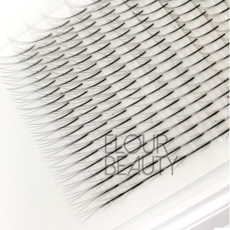 Russian volume 3D,4D,5D,6D pre-fanned lashes private label ED93 - Elour ...