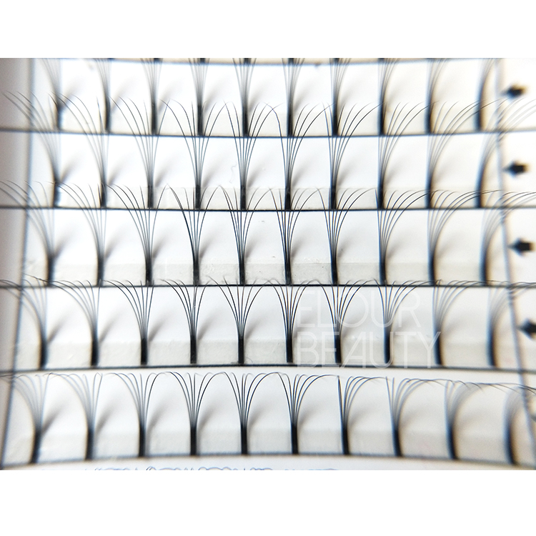 2D,3D,4D,5D,6D,8D,10D pre-fanned volume eyelash extensions private ...