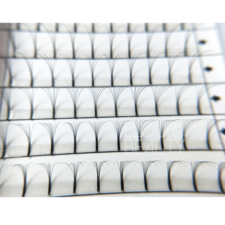 2D,3D,4D,5D,6D,8D,10D pre-fanned volume eyelash extensions private ...