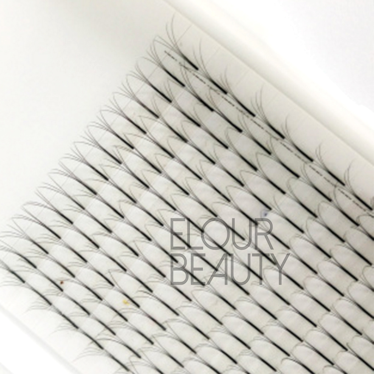 Russian volume 3D,4D,5D,6D pre-fanned lashes private label ED93 - Elour ...